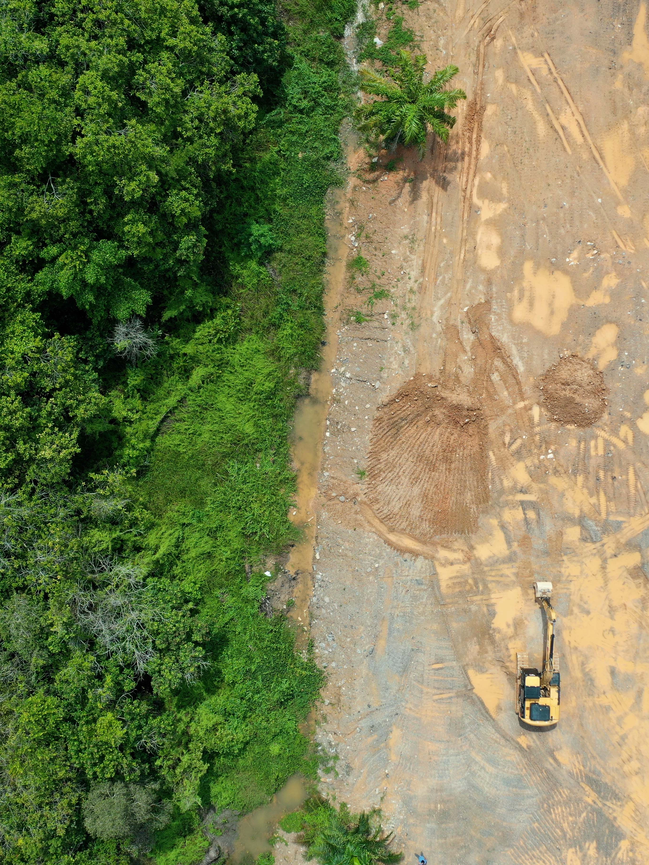 EUDR Regulation: The most important requirements for companies