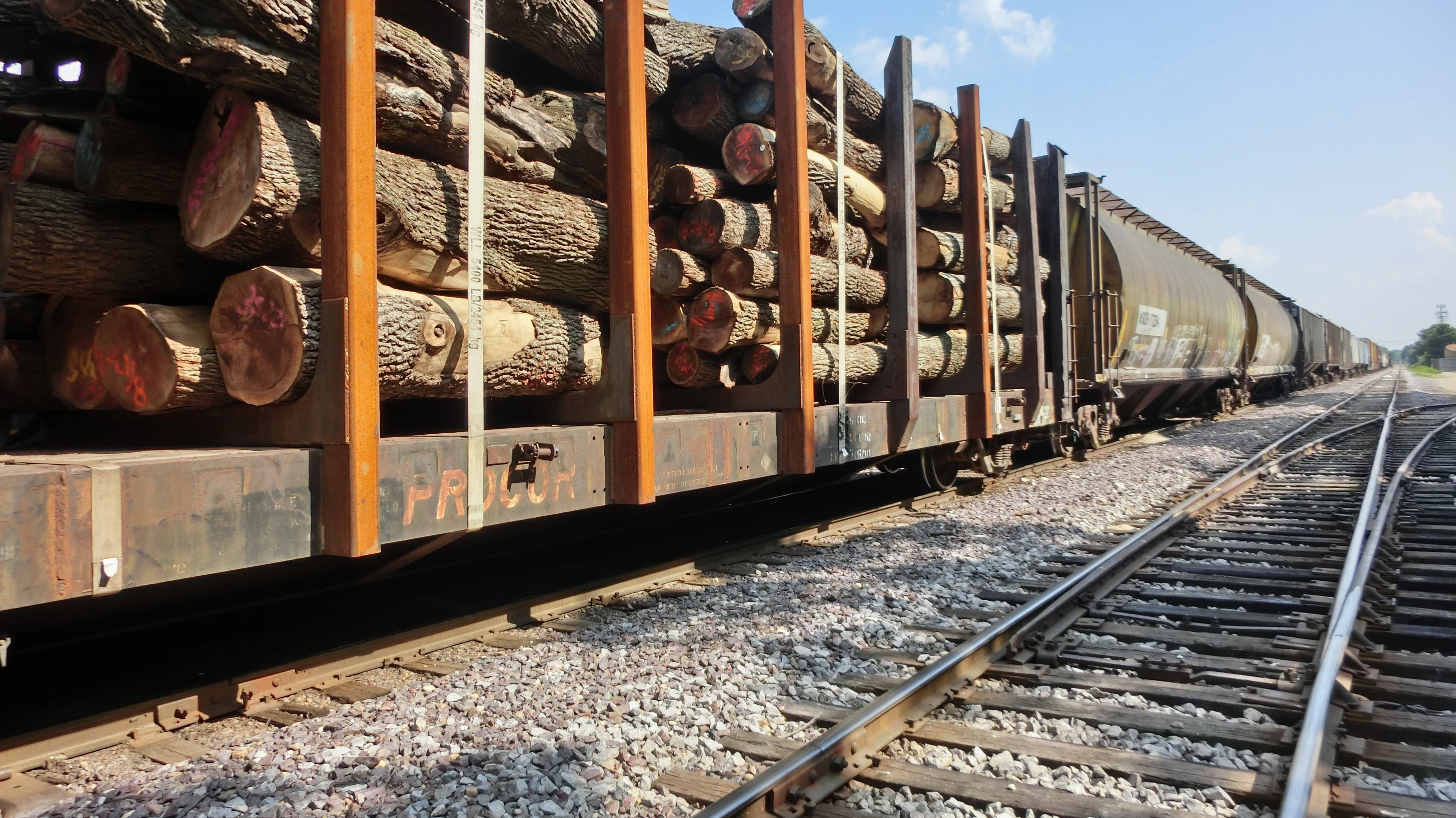 Forestry logistics for various wood products | Rhenus