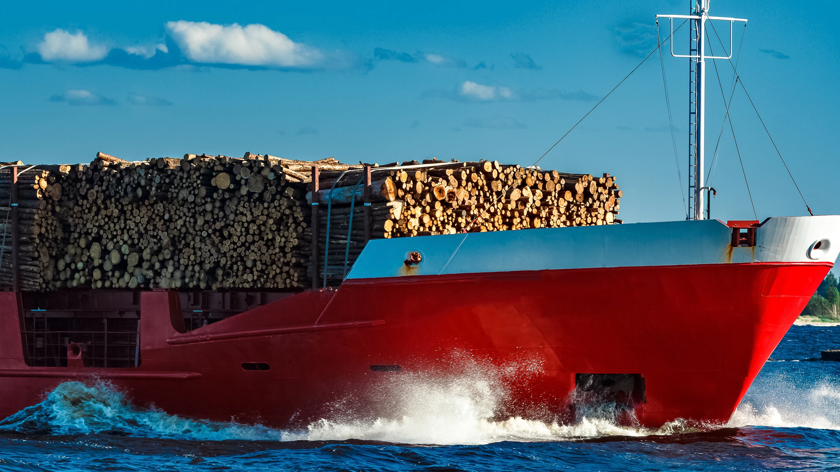 Forestry logistics for various wood products | Rhenus