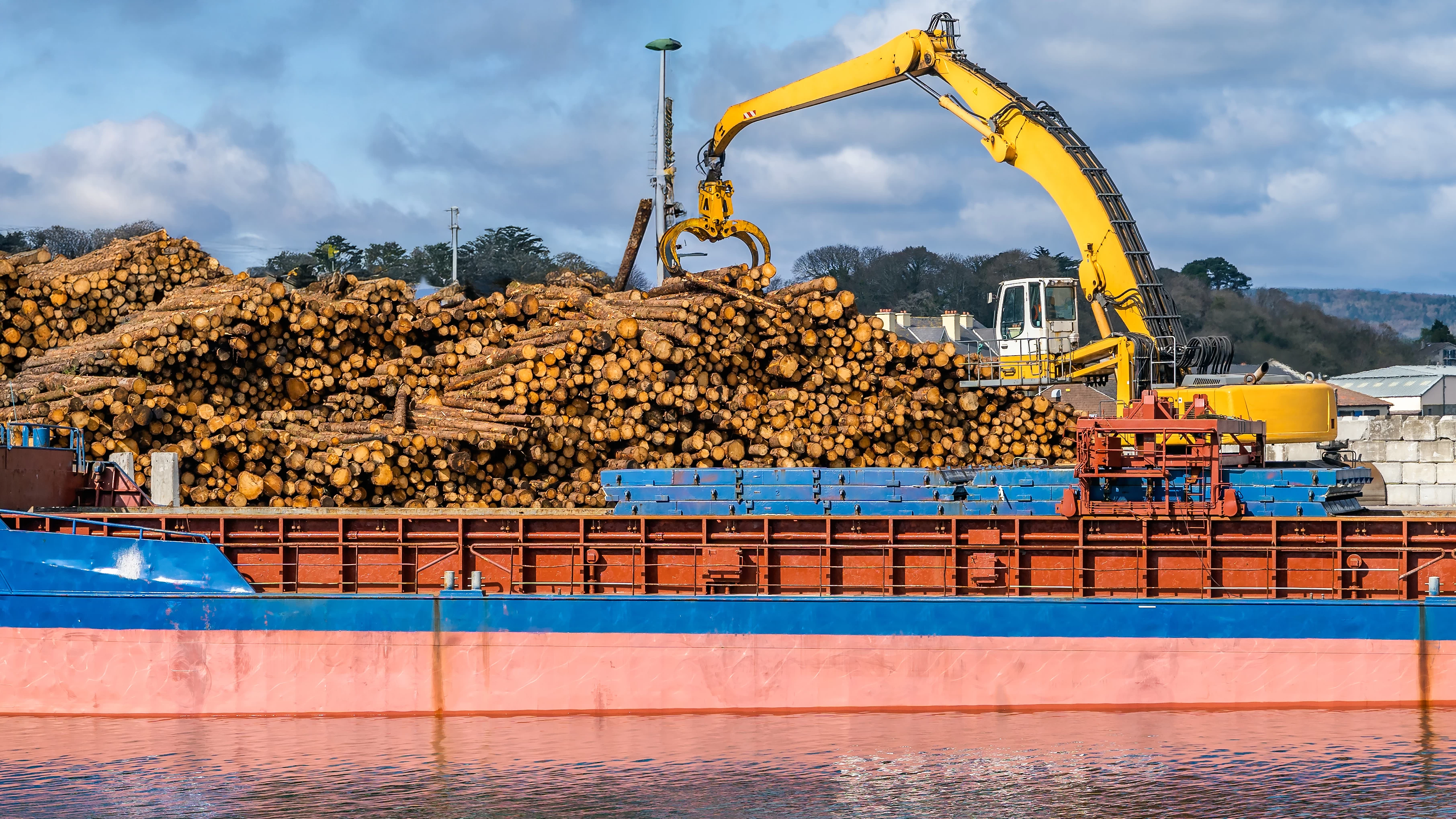 Forestry logistics for various wood products | Rhenus