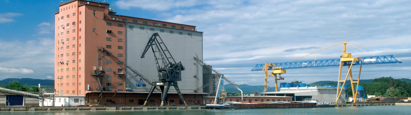 Agricultural terminal