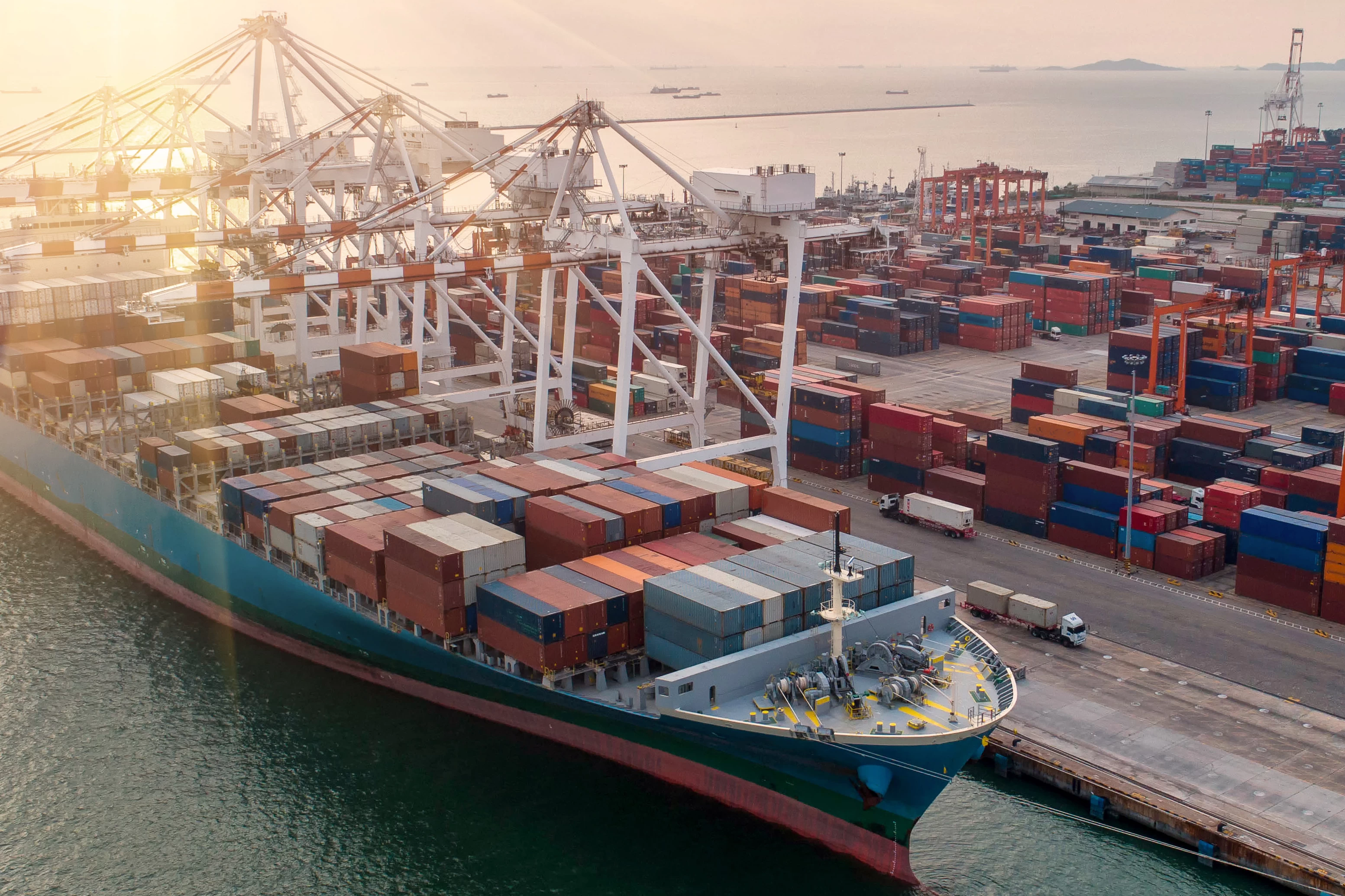 Ocean Freight Services in India | Maritime Logistics Solutions | RHENUS ...