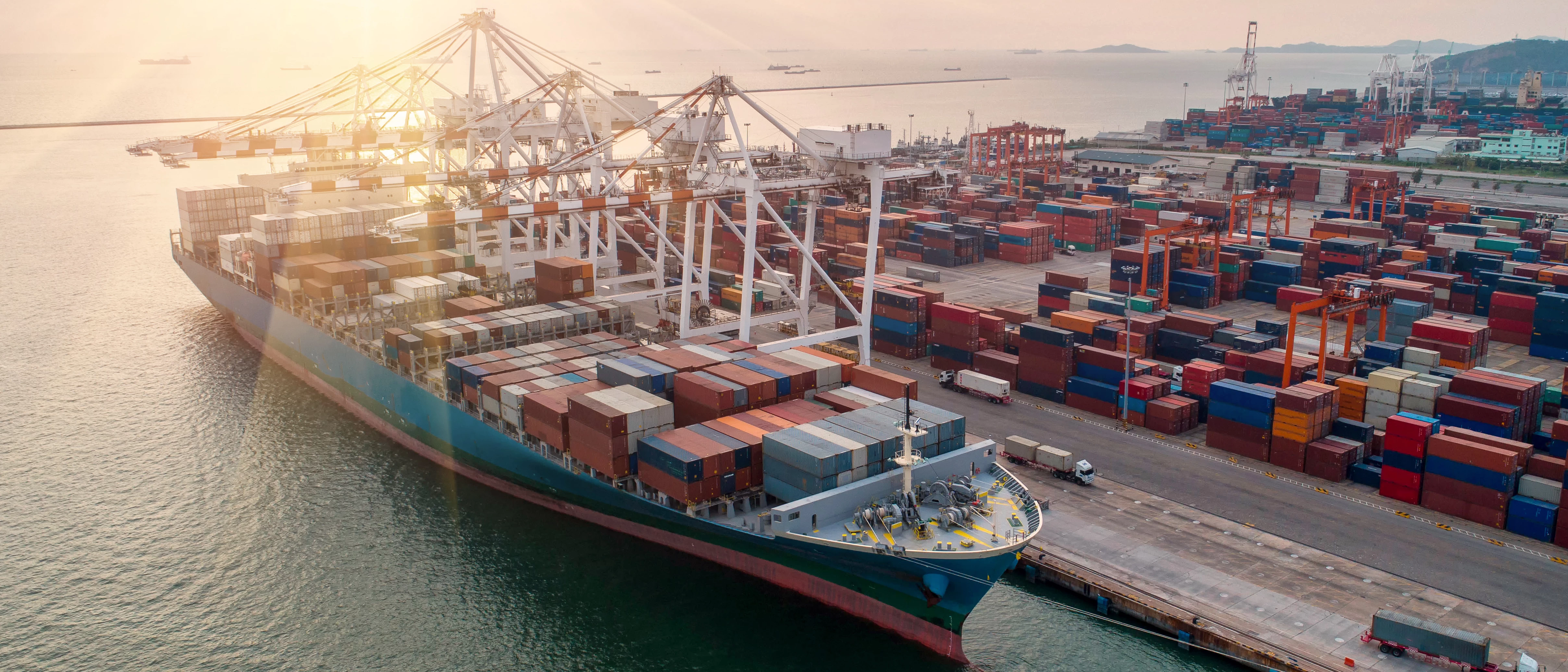 Ocean Freight Services in India | Maritime Logistics Solutions | RHENUS ...