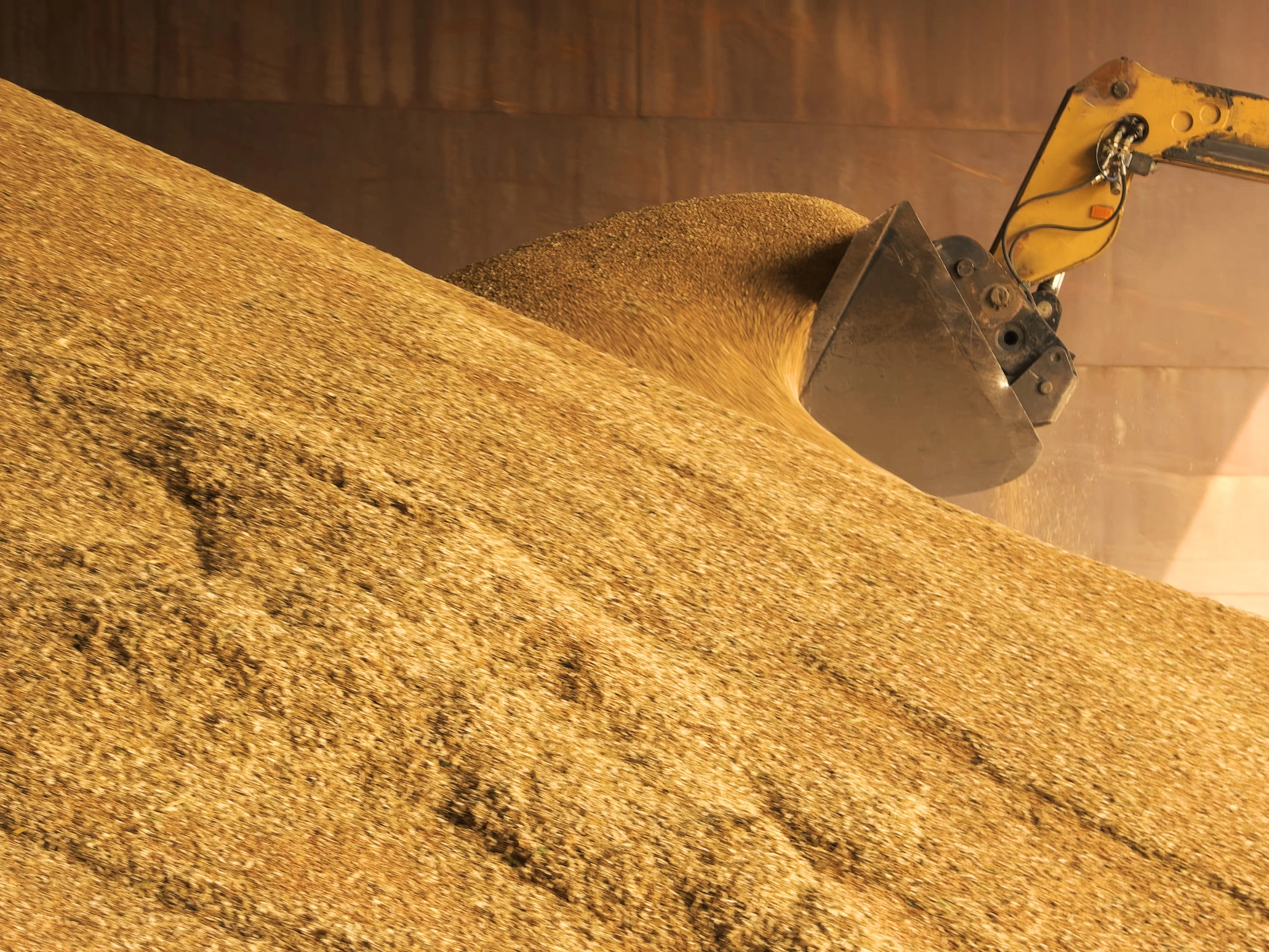 Bulk and Break Bulk Transportation Solutions: Rhenus Malaysia