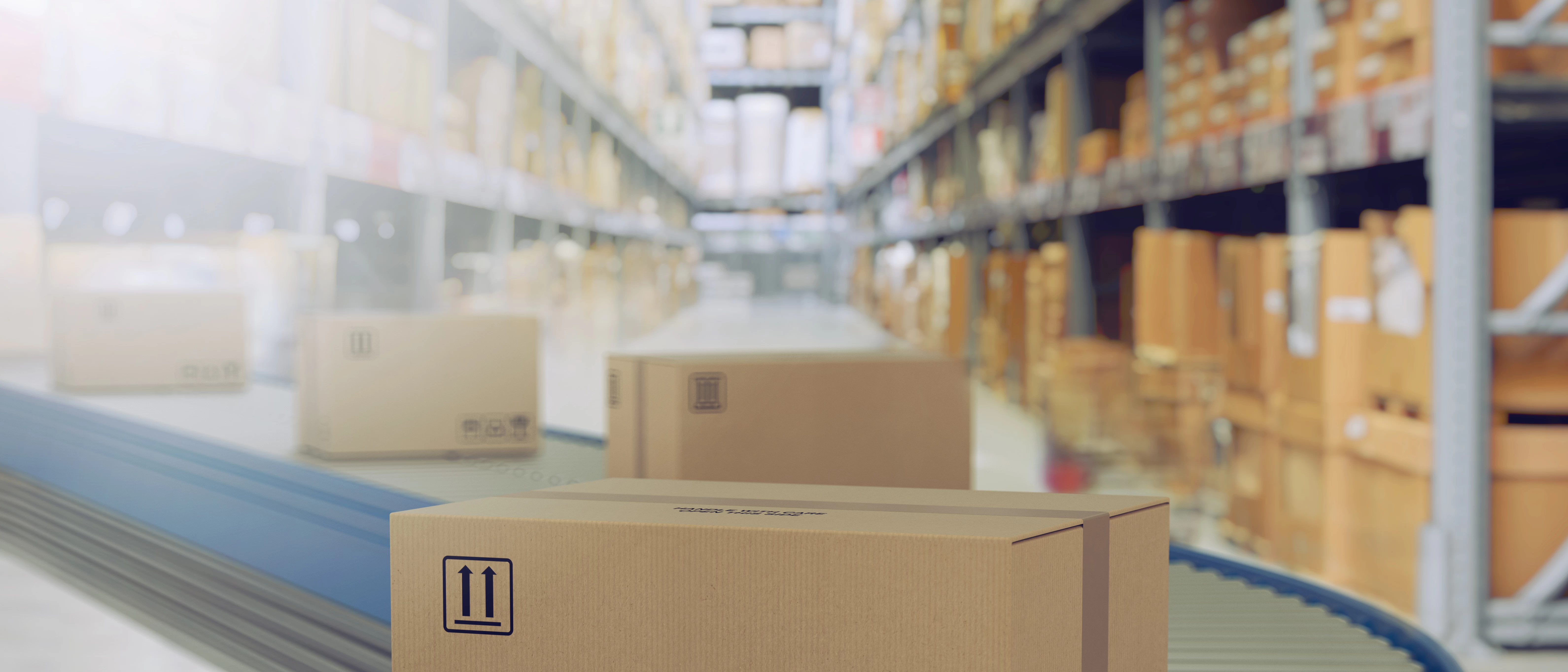 Warehouse Solutions and Services | Rhenus Logistics USA