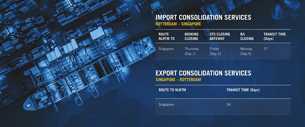 LCL Shipping & Forwarding Service | Rhenus Logistics Singapore